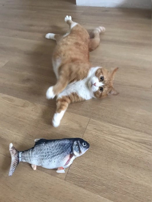 Best FLOPPING FISH™ Cat Toy 2025 - Interactive Pet Toy Review