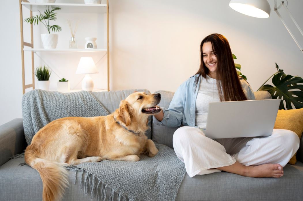 Pet Enrichment Guide: Mental Stimulation for Happy Pets